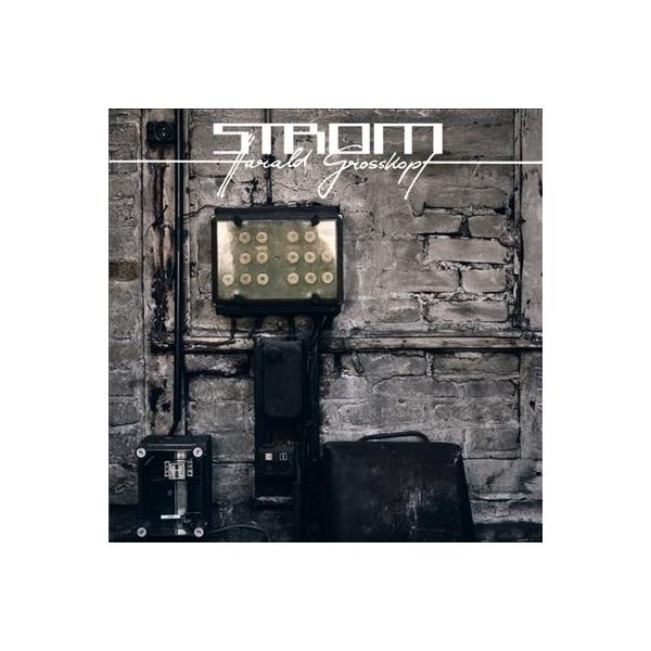 【発売日：2024年11月22日】ご注文後のキャンセル・返品は承れません。発売日:2024年11月22日/商品ID:6442632/ジャンル:ROCK/POP/フォーマット:LP/構成数:1/レーベル:Bureau B/アーティスト:Har...