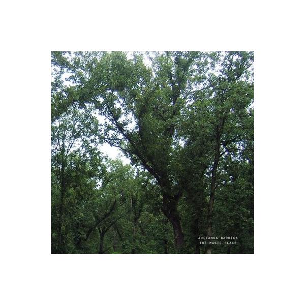 【発売日：2024年11月01日】ご注文後のキャンセル・返品は承れません。発売日:2024年11月01日/商品ID:6472564/ジャンル:ROCK/POP/フォーマット:LP/構成数:1/レーベル:Florine Records/アーテ...