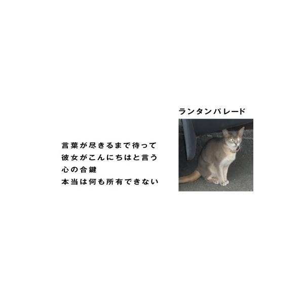 【発売日：2025年02月26日】ご注文後のキャンセル・返品は承れません。発売日:2025年02月26日/商品ID:6507218/ジャンル:J-POP/フォーマット:7inch Single/構成数:1/レーベル:Lantern Para...