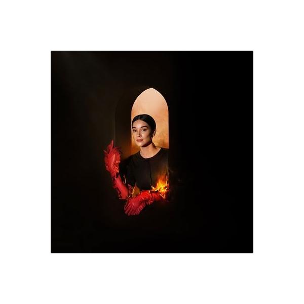 【発売日：2024年12月06日】ご注文後のキャンセル・返品は承れません。発売日:2024年12月06日/商品ID:6507310/ジャンル:ROCK/POP/フォーマット:CD/構成数:1/レーベル:VMG/アーティスト:St. Vinc...