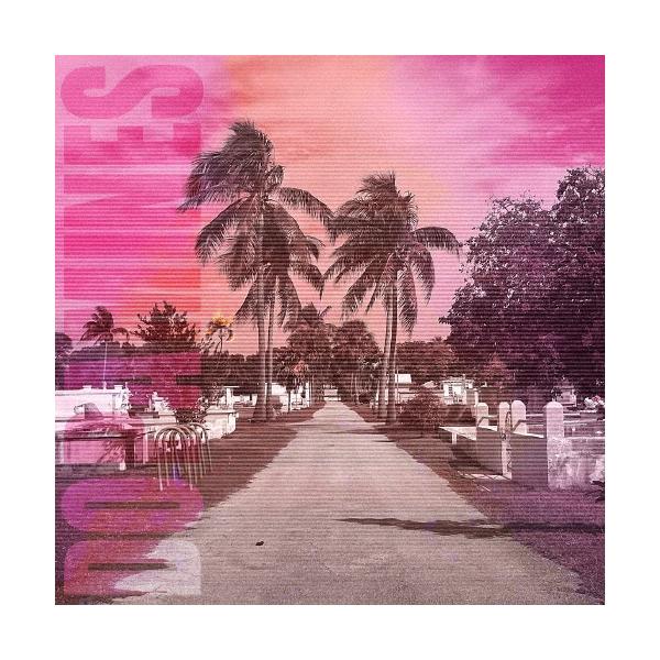 【発売日：2024年10月23日】ご注文後のキャンセル・返品は承れません。発売日:2024年10月23日/商品ID:6507766/ジャンル:ROCK/POP/フォーマット:CD/構成数:1/レーベル:Waterslide/アーティスト:T...