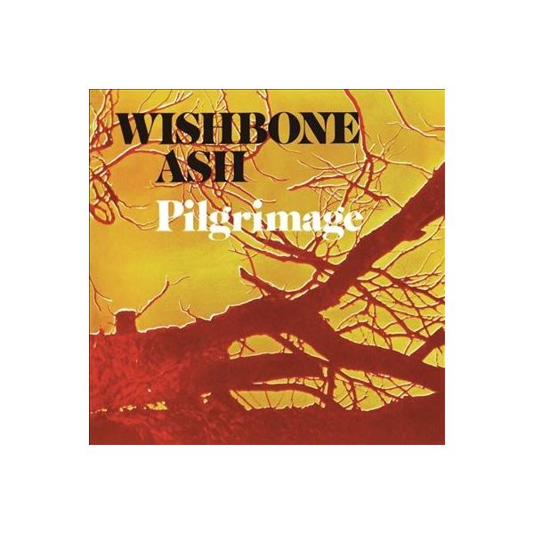 【発売日：2024年11月01日】ご注文後のキャンセル・返品は承れません。発売日:2024年11月01日/商品ID:6540319/ジャンル:ROCK/POP/フォーマット:CD/構成数:1/レーベル:Music On CD/アーティスト:...