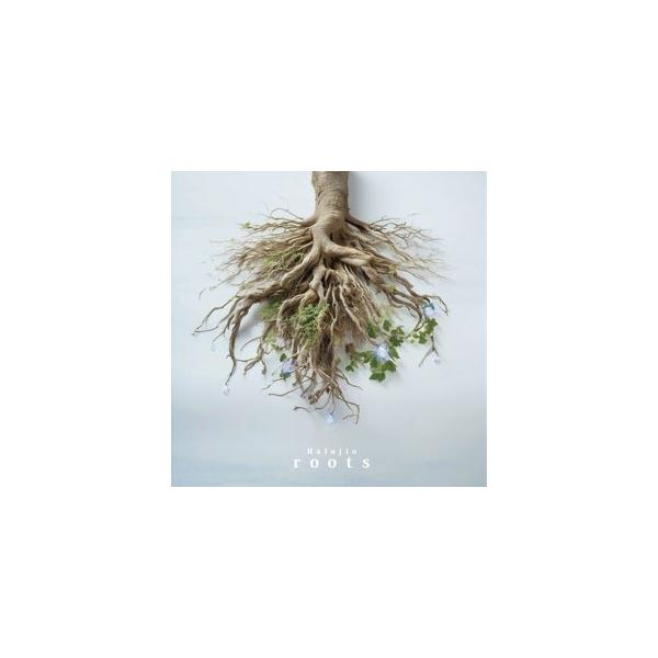 【発売日：2024年12月11日】ご注文後のキャンセル・返品は承れません。発売日:2024年12月11日/商品ID:6573052/ジャンル:J-POP/フォーマット:CD/構成数:1/レーベル:Paddy field/アーティスト:Hal...