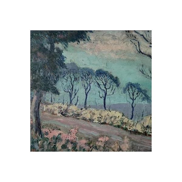 【発売日：2024年11月27日】ご注文後のキャンセル・返品は承れません。発売日:2024年11月27日/商品ID:6589061/ジャンル:ROCK/POP/フォーマット:CD/構成数:1/レーベル:Run For Cover Recor...