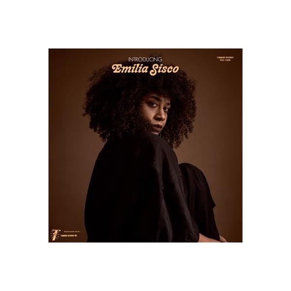 【発売日：2024年12月04日】ご注文後のキャンセル・返品は承れません。発売日:2024年12月04日/商品ID:6590540/ジャンル:SOUL/CLUB/RAP/フォーマット:LP/構成数:1/レーベル:Timmion Record...