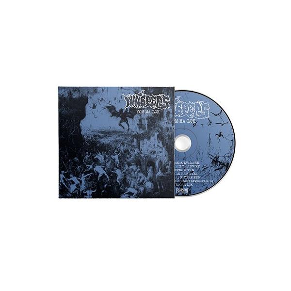 【発売日：2024年12月13日】ご注文後のキャンセル・返品は承れません。発売日:2024年12月13日/商品ID:6608033/ジャンル:ROCK/POP/フォーマット:CD/構成数:1/レーベル:Flatspot Records/アー...