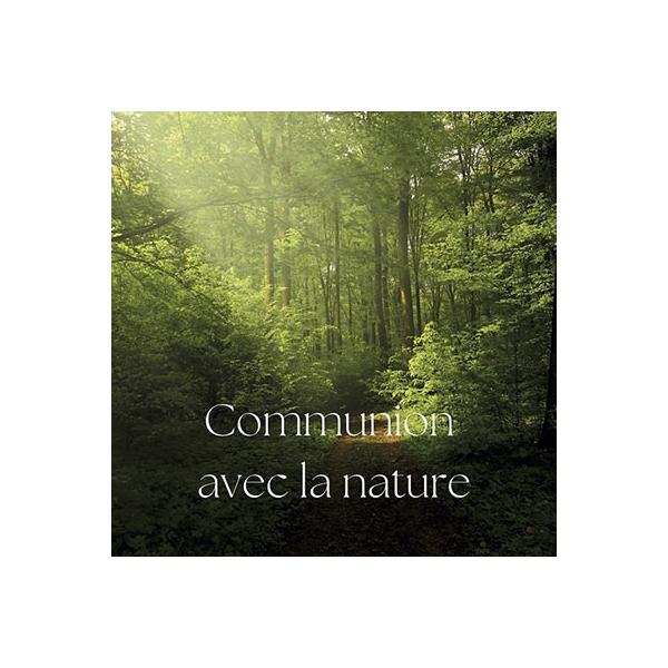【発売日：2024年12月10日】ご注文後のキャンセル・返品は承れません。OLS60※こちらはアウトレットセール商品となります。パッケージ等に破損などダメージがある場合がございますが、外装不良による交換、返品はできかねますので予めご了承くだ...
