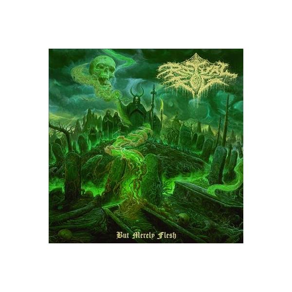 【発売日：2024年11月29日】ご注文後のキャンセル・返品は承れません。OLS50※こちらはアウトレットセール商品となります。パッケージ等に破損などダメージがある場合がございますが、外装不良による交換、返品はできかねますので予めご了承くだ...