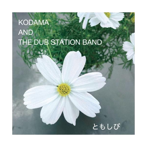 【発売日：2025年08月27日】ご注文後のキャンセル・返品は承れません。発売日:2025年08月27日/商品ID:6641009/ジャンル:J-POP/フォーマット:LP/構成数:2/レーベル:P-VINE/アーティスト:KODAMA A...