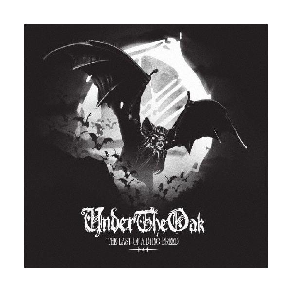 【発売日：2024年12月27日】ご注文後のキャンセル・返品は承れません。OLS50※こちらはアウトレットセール商品となります。パッケージ等に破損などダメージがある場合がございますが、外装不良による交換、返品はできかねますので予めご了承くだ...