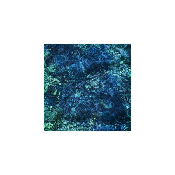 【発売日：2025年02月28日】ご注文後のキャンセル・返品は承れません。発売日:2025年02月28日/商品ID:6648980/ジャンル:J-POP/フォーマット:LP/構成数:1/レーベル:hermine/アーティスト:青葉市子/アー...