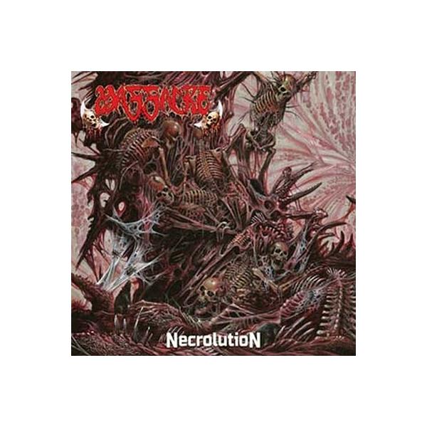 【発売日：2024年12月06日】ご注文後のキャンセル・返品は承れません。発売日:2024年12月06日/商品ID:6649845/ジャンル:ROCK/POP/フォーマット:CD/構成数:1/レーベル:Agonia Records/アーティ...