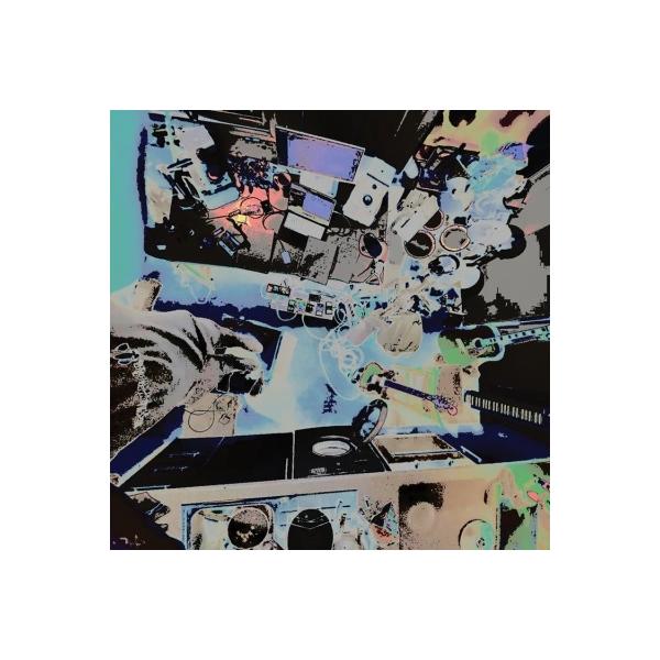 【発売日：2025年01月31日】ご注文後のキャンセル・返品は承れません。発売日:2025年01月31日/商品ID:6651985/ジャンル:ROCK/POP/フォーマット:LP/構成数:1/レーベル:Section 1/Partisan ...