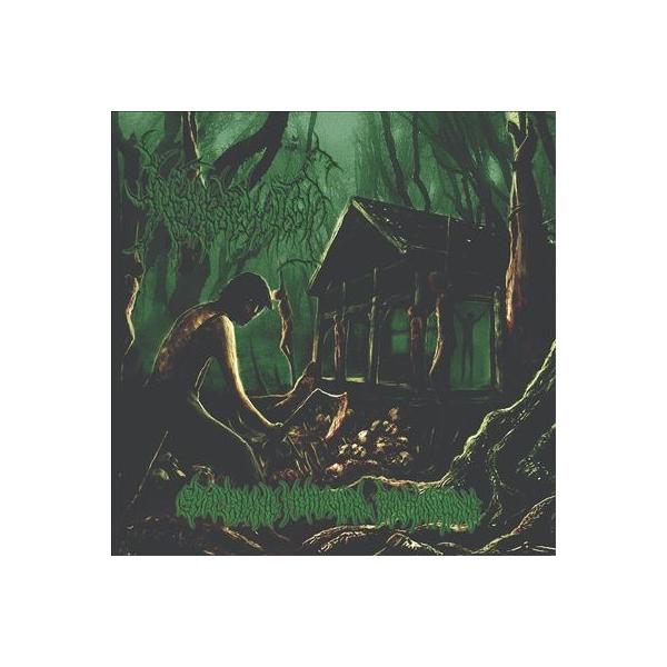 【発売日：2025年01月17日】ご注文後のキャンセル・返品は承れません。発売日:2025年01月17日/商品ID:6654170/ジャンル:ROCK/POP/フォーマット:CD/構成数:1/レーベル:New Standard Elite/...