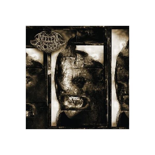 【発売日：2025年01月17日】ご注文後のキャンセル・返品は承れません。発売日:2025年01月17日/商品ID:6654172/ジャンル:ROCK/POP/フォーマット:CD/構成数:1/レーベル:New Standard Elite/...