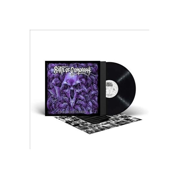 【発売日：2025年02月21日】ご注文後のキャンセル・返品は承れません。発売日:2025年02月21日/商品ID:6655408/ジャンル:ROCK/POP/フォーマット:LP/構成数:1/レーベル:Testimony Records/ア...