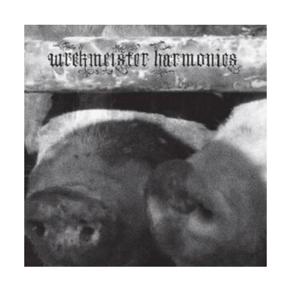 【発売日：2025年02月21日】ご注文後のキャンセル・返品は承れません。発売日:2025年02月21日/商品ID:6666375/ジャンル:ROCK/POP/フォーマット:LP/構成数:1/レーベル:Thrill Jockey/アーティス...