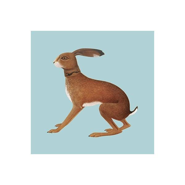 【発売日：2025年02月07日】ご注文後のキャンセル・返品は承れません。発売日:2025年02月07日/商品ID:6667062/ジャンル:ROCK/POP/フォーマット:LP/構成数:2/レーベル:Fat Cat/アーティスト:Vash...