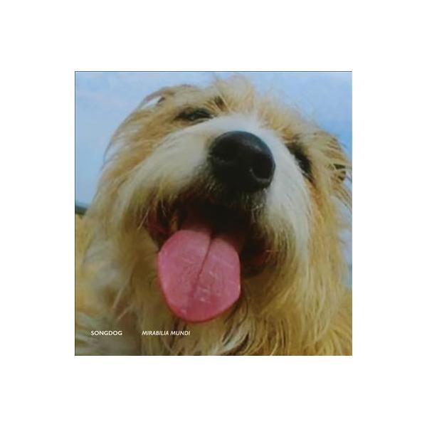 【発売日：2025年03月28日】ご注文後のキャンセル・返品は承れません。発売日:2025年03月28日/商品ID:6668481/ジャンル:ROCK/POP/フォーマット:LP/構成数:1/レーベル:Junkyard Songs/アーティ...