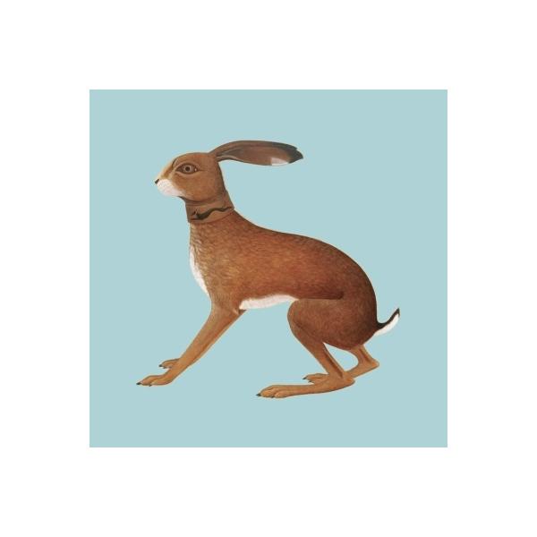 【発売日：2025年02月15日】ご注文後のキャンセル・返品は承れません。発売日:2025年02月15日/商品ID:6668594/ジャンル:ROCK/POP/フォーマット:CD/構成数:2/レーベル:Fat Cat/アーティスト:Vash...