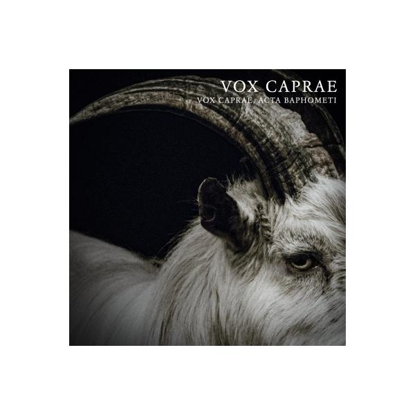 【発売日：2025年02月26日】ご注文後のキャンセル・返品は承れません。OLS60※こちらはアウトレットセール商品となります。パッケージ等に破損などダメージがある場合がございますが、外装不良による交換、返品はできかねますので予めご了承くだ...