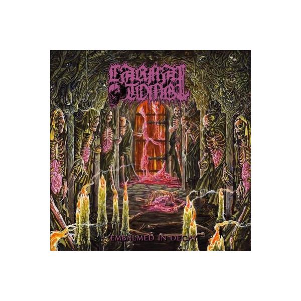 【発売日：2025年02月21日】ご注文後のキャンセル・返品は承れません。発売日:2025年02月21日/商品ID:6708130/ジャンル:ROCK/POP/フォーマット:CD/構成数:1/レーベル:Testimony Records/ア...