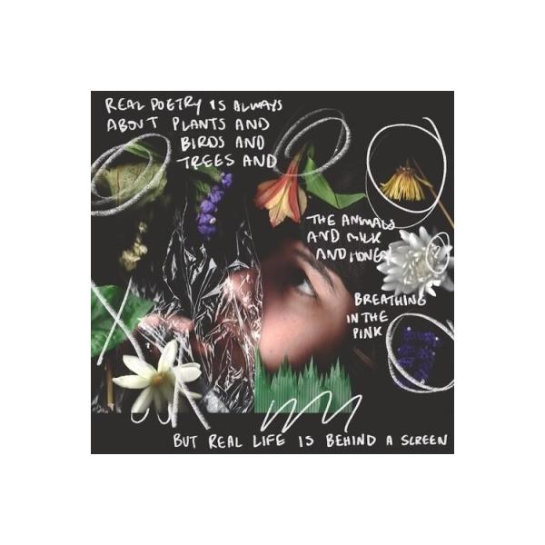 【発売日：2025年01月17日】ご注文後のキャンセル・返品は承れません。発売日:2025年01月17日/商品ID:6761474/ジャンル:ROCK/POP/フォーマット:LP/構成数:1/レーベル:Asian Man/アーティスト:Pa...