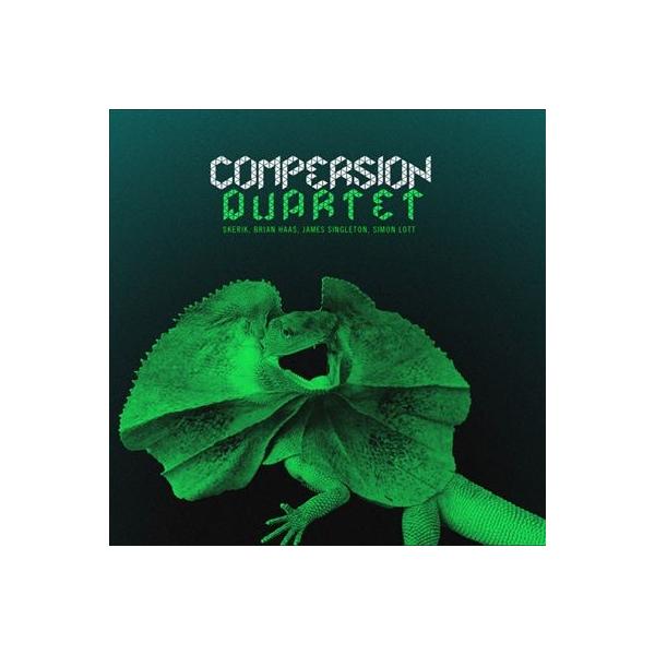 【発売日：2025年01月31日】ご注文後のキャンセル・返品は承れません。発売日:2025年01月31日/商品ID:6761476/ジャンル:ROCK/POP/フォーマット:LP/構成数:1/レーベル:Royal Potato/アーティスト...