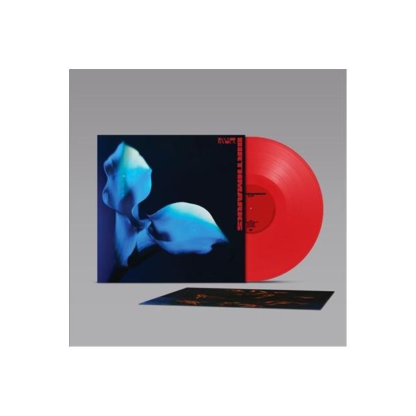 【発売日：2025年03月14日】ご注文後のキャンセル・返品は承れません。発売日:2025年03月14日/商品ID:6761891/ジャンル:ROCK/POP/フォーマット:LP/構成数:1/レーベル:Bella Union/アーティスト:...