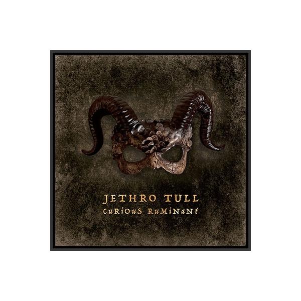 【発売日：2025年03月07日】ご注文後のキャンセル・返品は承れません。発売日:2025年03月07日/商品ID:6765261/ジャンル:ROCK/POP/フォーマット:LP/構成数:5/レーベル:Inside Out Music/アー...