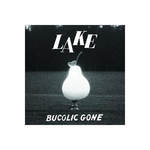 【発売日：2025年03月07日】ご注文後のキャンセル・返品は承れません。発売日:2025年03月07日/商品ID:6770456/ジャンル:ROCK/POP/フォーマット:LP/構成数:1/レーベル:Don Giovanni/アーティスト...