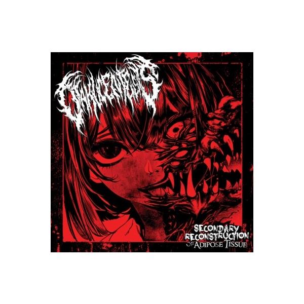 【発売日：2025年03月07日】ご注文後のキャンセル・返品は承れません。発売日:2025年03月07日/商品ID:6772103/ジャンル:ROCK/POP/フォーマット:CD/構成数:1/レーベル:Ghastly Records/アーテ...