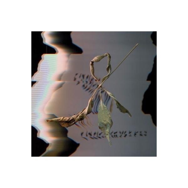 【発売日：2025年03月05日】ご注文後のキャンセル・返品は承れません。発売日:2025年03月05日/商品ID:6773429/ジャンル:SOUL/CLUB/RAP/フォーマット:CD/構成数:1/レーベル:Constellation/...