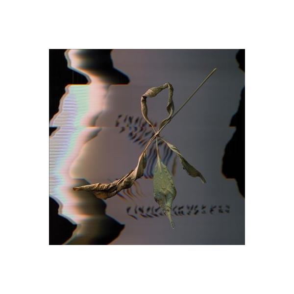 【発売日：2025年03月14日】ご注文後のキャンセル・返品は承れません。発売日:2025年03月14日/商品ID:6773434/ジャンル:SOUL/CLUB/RAP/フォーマット:LP/構成数:1/レーベル:Constellation/...