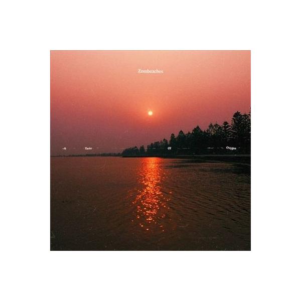 【発売日：2025年01月31日】ご注文後のキャンセル・返品は承れません。発売日:2025年01月31日/商品ID:6775236/ジャンル:ROCK/POP/フォーマット:LP/構成数:1/レーベル:Swish Swash Records...