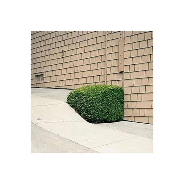 【発売日：2025年04月05日】ご注文後のキャンセル・返品は承れません。発売日:2025年04月05日/商品ID:6775647/ジャンル:ROCK/POP/フォーマット:LP/構成数:1/レーベル:Tonal Union/アーティスト:...