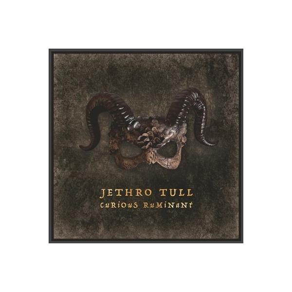 【発売日：2025年03月07日】ご注文後のキャンセル・返品は承れません。発売日:2025年03月07日/商品ID:6776180/ジャンル:ROCK/POP/フォーマット:CD/構成数:1/レーベル:Inside Out/アーティスト:J...