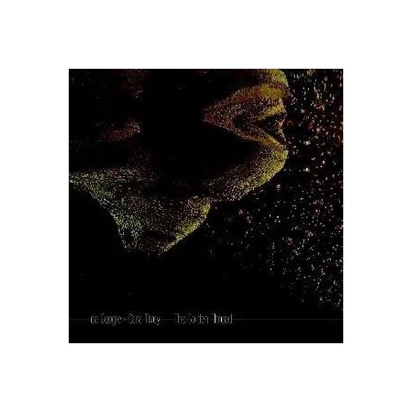 【発売日：2025年03月07日】ご注文後のキャンセル・返品は承れません。発売日:2025年03月07日/商品ID:6778488/ジャンル:ROCK/POP/フォーマット:LP/構成数:1/レーベル:Tiny Global Product...