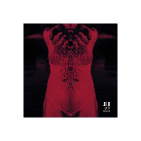 【発売日：2025年04月10日】ご注文後のキャンセル・返品は承れません。発売日:2025年04月10日/商品ID:6781951/ジャンル:ROCK/POP/フォーマット:CD/構成数:1/レーベル:Zeit Interference/ア...