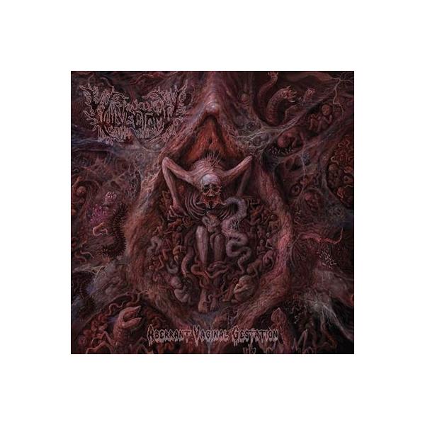 【発売日：2025年04月11日】ご注文後のキャンセル・返品は承れません。発売日:2025年04月11日/商品ID:6784038/ジャンル:ROCK/POP/フォーマット:CD/構成数:1/レーベル:Comatose Music/アーティ...