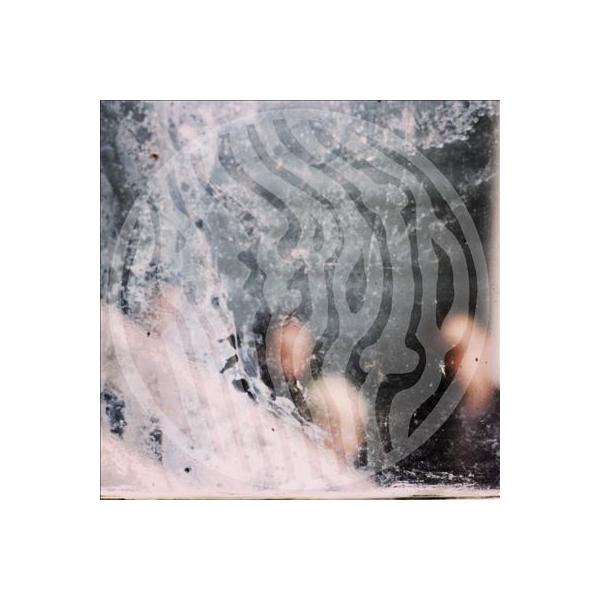 【発売日：2025年04月11日】ご注文後のキャンセル・返品は承れません。発売日:2025年04月11日/商品ID:6784968/ジャンル:ROCK/POP/フォーマット:LP/構成数:1/レーベル:Abandon Everything/...