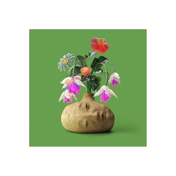 【発売日：2025年04月04日】ご注文後のキャンセル・返品は承れません。発売日:2025年04月04日/商品ID:6787174/ジャンル:ROCK/POP/フォーマット:LP/構成数:1/レーベル:Top Shelf Records/ア...