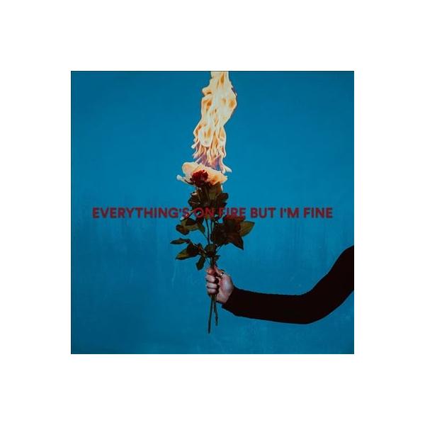 【発売日：2025年08月22日】ご注文後のキャンセル・返品は承れません。発売日:2025年08月22日/商品ID:6787178/ジャンル:ROCK/POP/フォーマット:CD/構成数:1/レーベル:VMG/アーティスト:As Decem...