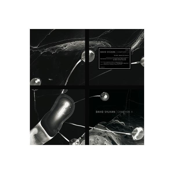 【発売日：2025年04月12日】ご注文後のキャンセル・返品は承れません。発売日:2025年04月12日/商品ID:6788264/ジャンル:ROCK/POP/フォーマット:LP/構成数:2/レーベル:Virgin/アーティスト:David...