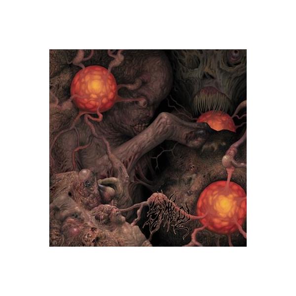 【発売日：2025年04月11日】ご注文後のキャンセル・返品は承れません。発売日:2025年04月11日/商品ID:6790510/ジャンル:ROCK/POP/フォーマット:CD/構成数:1/レーベル:New Standard Elite/...