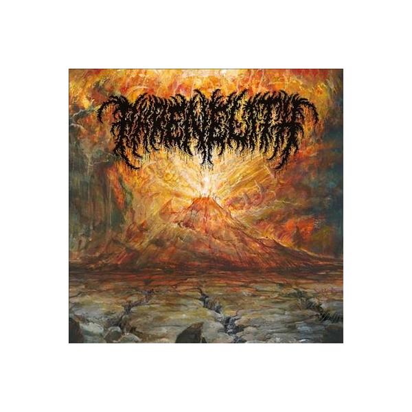 【発売日：2025年04月04日】ご注文後のキャンセル・返品は承れません。発売日:2025年04月04日/商品ID:6797982/ジャンル:ROCK/POP/フォーマット:LP/構成数:1/レーベル:Dark Descent Record...