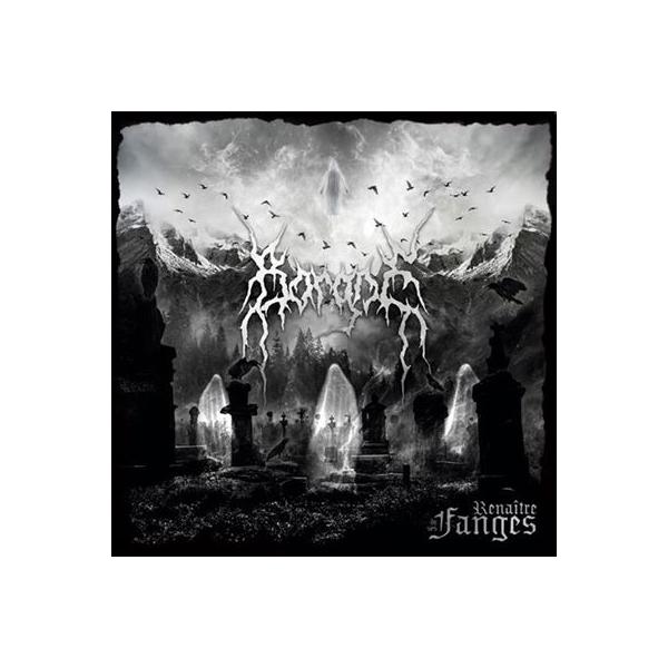 【発売日：2025年04月04日】ご注文後のキャンセル・返品は承れません。発売日:2025年04月04日/商品ID:6798003/ジャンル:ROCK/POP/フォーマット:LP/構成数:2/レーベル:Ladlo Productions/ア...