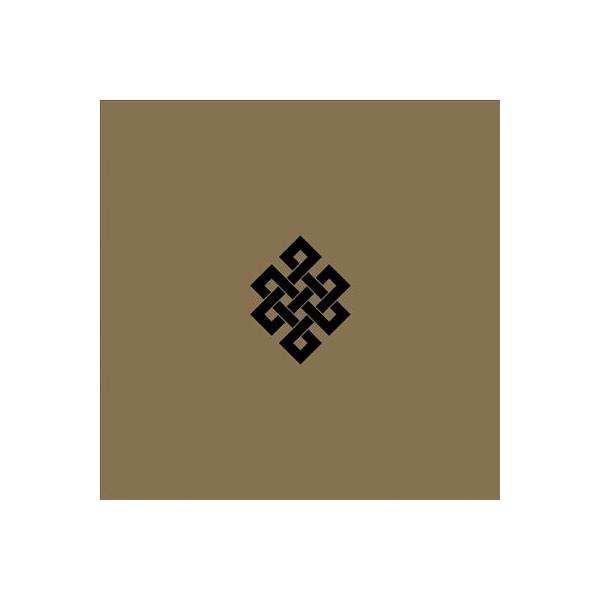 【発売日：2025年05月16日】ご注文後のキャンセル・返品は承れません。発売日:2025年05月16日/商品ID:6799501/ジャンル:ROCK/POP/フォーマット:CD/構成数:1/レーベル:Mute/アーティスト:Throbbi...