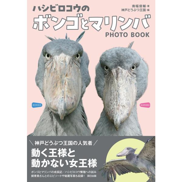 【発売日：2025年04月28日】ご注文後のキャンセル・返品は承れません。発売日:2025年04月28日/商品ID:6799778/ジャンル:DOMESTIC BOOKS/フォーマット:Book/構成数:1/レーベル:辰巳出版/アーティスト...