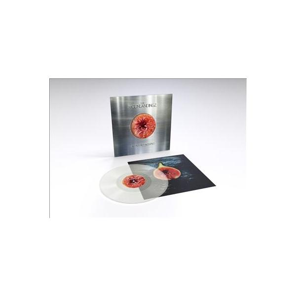 【発売日：2025年04月25日】ご注文後のキャンセル・返品は承れません。発売日:2025年04月25日/商品ID:6800050/ジャンル:ROCK/POP/フォーマット:LP/構成数:1/レーベル:Transgressive/アーティス...